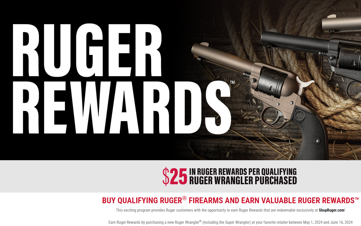 Current Gun Rebates - Guns N Gear